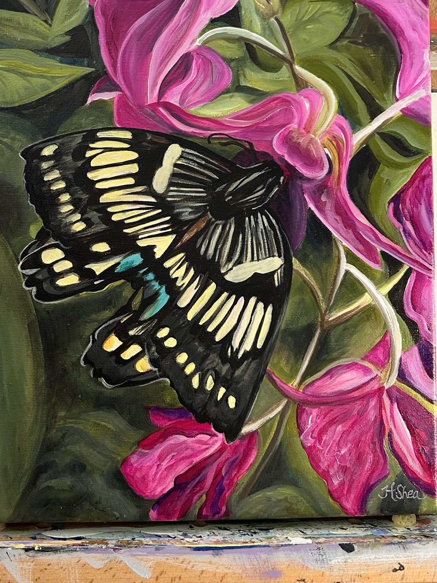 portfolio – Heather Shea, Ph.D.
